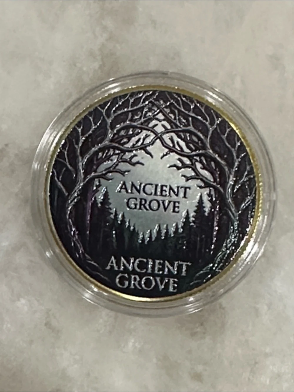 Accessories | Wild Woods Gothic Woods Coin Pendant Silver And Black ...